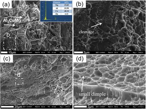A The Tensile Fracture Morphology Of 26 After The Fa B