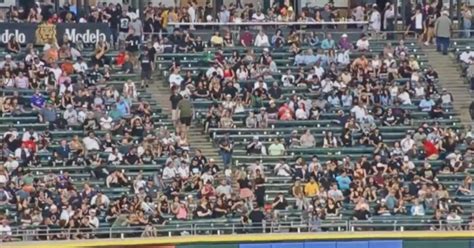 Lawyer For Woman Shot At White Sox Game Says She Didnt Bring Gun Into
