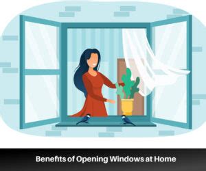 Insulated Glass Benefits And Types What You Should Know
