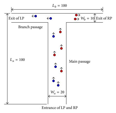 Simulation Scenario Of T Shaped Passage Download Scientific Diagram