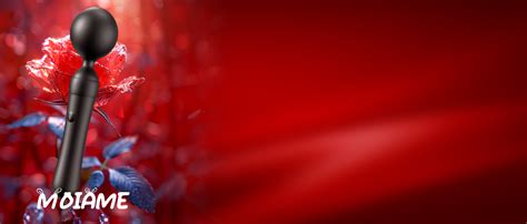 Wand Vibrator Sex Toy Massager Waterproof Vibrator Women