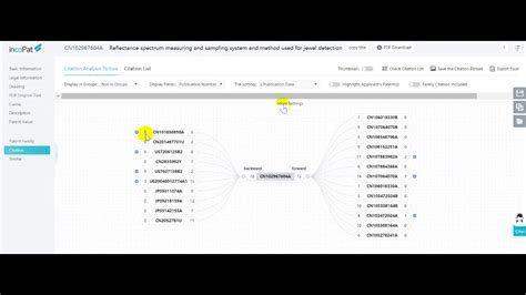8 Incopat Citation Analysis Youtube