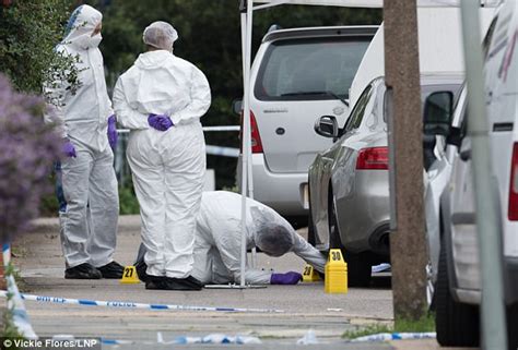 Man In 20s Stabbed To Death After Late Night Essex Brawl Daily Mail