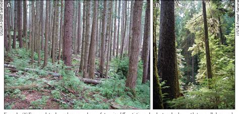 Figure 1 From Guide To Variable Density Thinning Using Skips And Gaps