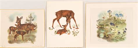 Examples Of Illustrations By Len Fullerton Wildlife Artist Newport On Tay A Special Place