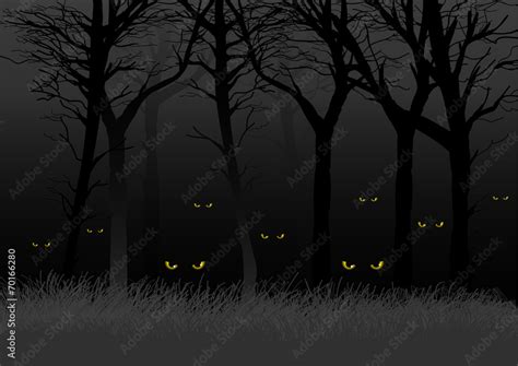 Eyes In The Dark Woods