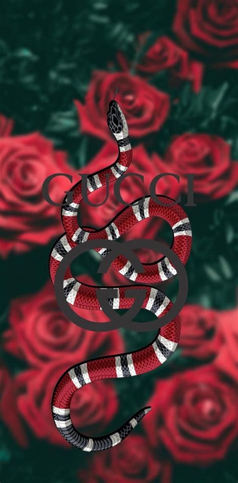 Gucci Wallpaper By Mijaaaaaaaaa Download On Zedge™ Db0b Gucci