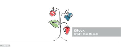 하나의 연속적인 선 그리기에 식물에 열매 과일과 딸기는 단순한 선형 스타일입니다 편집 가능한 획으로 된 잼 및 요구르트 배너에 대한 레이블 낙서 윤곽선 벡터 그림 라인아트에