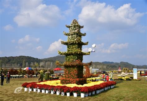 충남 부여군 제18회 백제고도 부여국화축제 3일 개막 E지역news