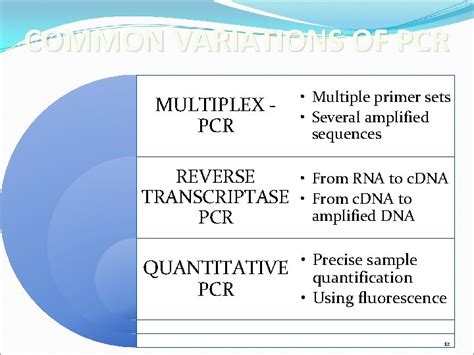 Biol 1220 Synthetic Biology Pcr And Primer Design