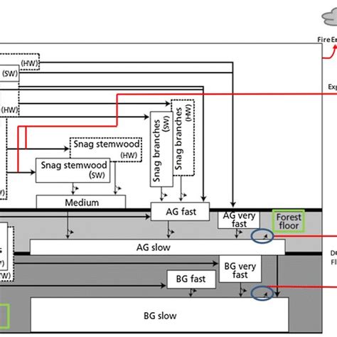 cbm cfs3 carbon pool structure augmented to include transfers of c from