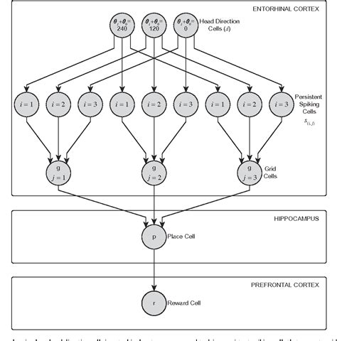 Figure 1 From A Hierarchical Model Of Goal Directed Navigation Selects