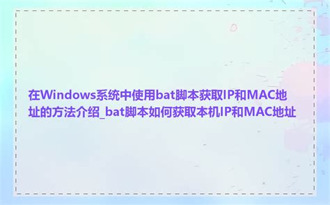 在Windows系统中使用bat脚本获取IP和MAC地址的方法介绍 bat脚本如何获取本机IP和MAC地址