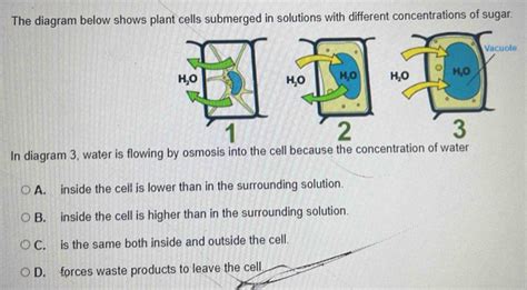 The Diagram Below Shows Plant Cells Submerged In Solutions With