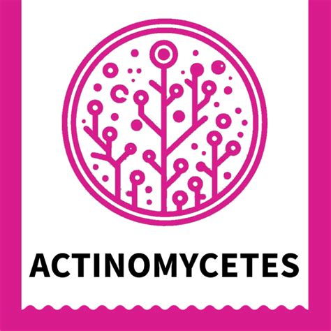 Article Amazing Actinomycetes Microbiology Laboratories Australia