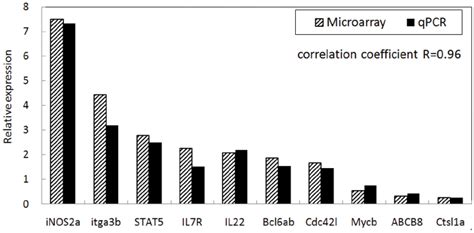 validation of relative expression between microarray data and rt qpcr