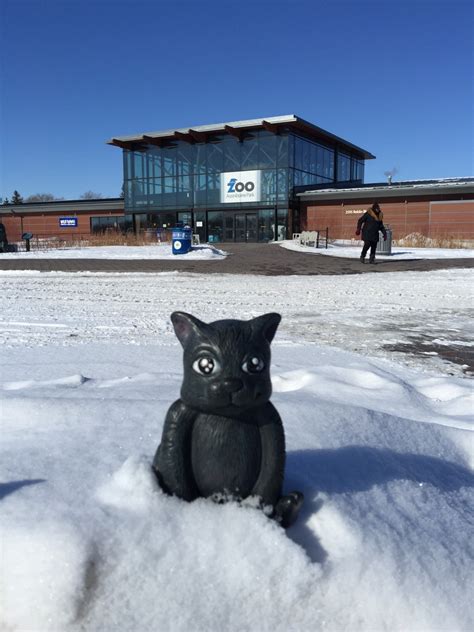 R Learning Journey Medium