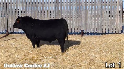 Lot 1 Ocr 2j Youtube