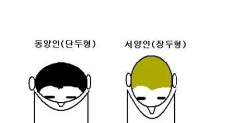 동양인 서양인
