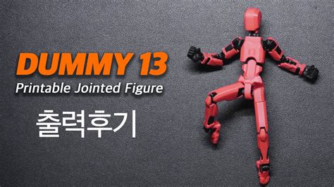 Printable 사이트에서 Dummy 13 피규어 데이터 출력 해보기 3dprinter Printable Dummy13 Youtube