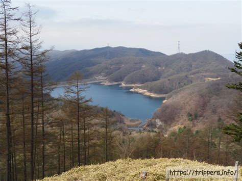 ムラサキムヨウランとベニバナヤマシャクヤクが咲く高尾山へ登山 日帰り