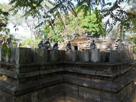 A Hindu Temple Review Of Siva Devalaya No 1 Polonnaruwa Sri Lanka Tripadvisor