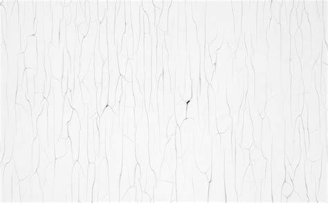 93 000 White Tree Texture Pictures