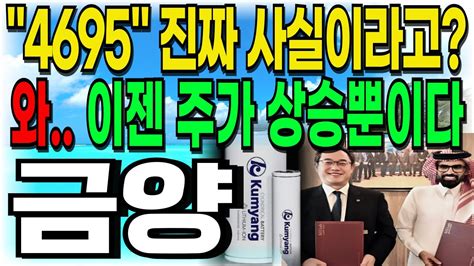 금양 주가전망 4695 진짜 사실이라고 와 이제 주가 상승뿐이네요 주주여러분들 빨리 시청하세요 Youtube