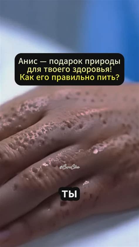 Запрещённый эликсир древних Как простое зерно спасает от тромбов здоровье Целебные советы