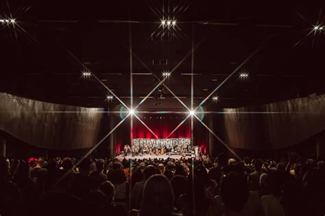 Professor André Geiger