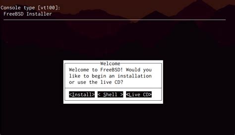 FreeBSD From Bare Metal To Bhyve Wu E Shell Org