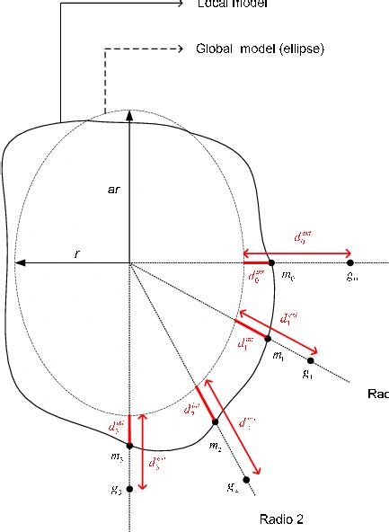 Global Elliptic Model And Local Deformable Model Download Scientific Diagram