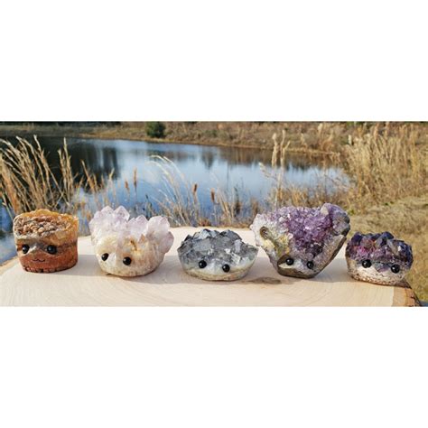 Crystal Pet Crystal Vaults