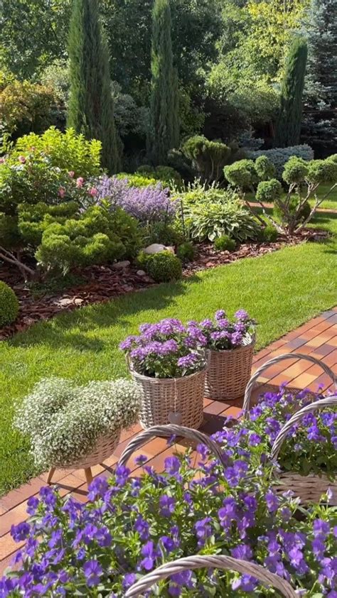 Пин от пользователя Dania на доске Flowers Сады на открытом воздухе Озеленение фасада Идеи