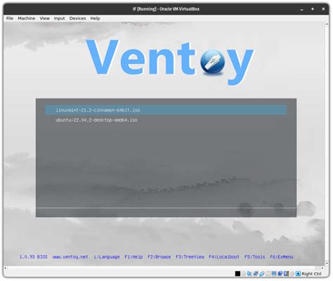 Boot From A USB Drive In VirtualBox In Linux
