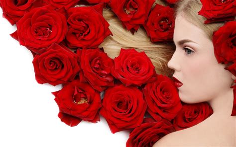 Pictures Hd Valentines Day Romantic Rose Hd Wallpapers