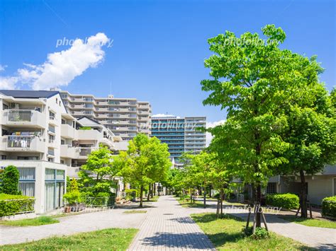 Photolibrary