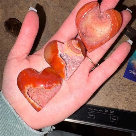 Opalized Ammonite Shell Fossil Halves Pairs Specimen Natural Super High