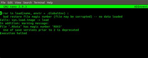Bad Restore Magic Number Error When Deploying Shiny App On Shiny Server