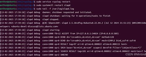 Ubuntu 2204 Openldap环境与试用（服务器lam客户端）ubuntu Openldap Csdn博客