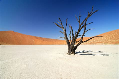 Windhoek Cosa Visitare Nella Capitale Della Namibia
