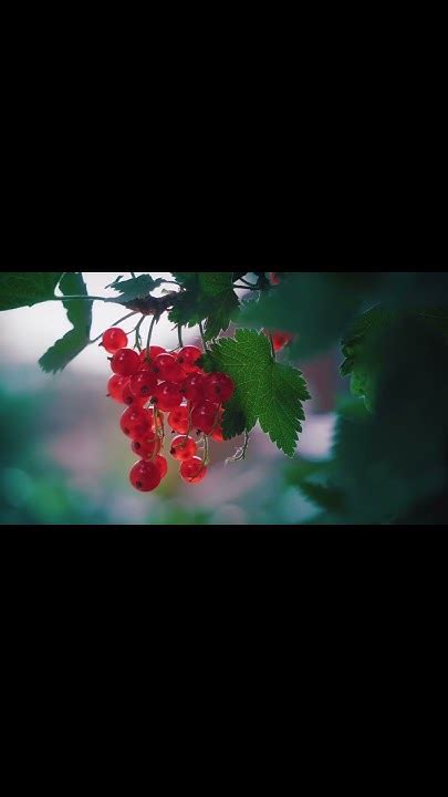 사는데 제일 중요한 7가지 명상의말씀 명언 좋은글 지혜 인생조언 철학 자기계발 동기부여 조언 인생 오디오북 Youtube