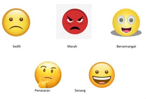 Remaja Yuk Kenali Emosimu Seksi Bk And Psikoedukatif