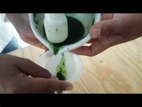 Net Japa Tutoriales Experimentos Suelo Semana De La Ciencia