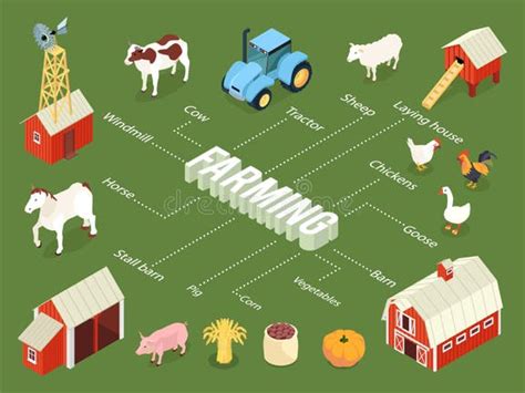 Farm Isometric Flowchart Stock Vector Illustration Of Infographic