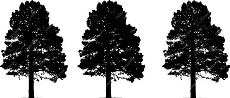 Premium Vector Tree Shilhouette Vector Eps