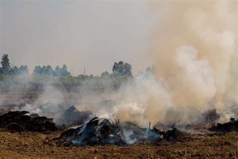 Dense Dust And Smoke From Burning Stubble In Post Harvest Agricultural