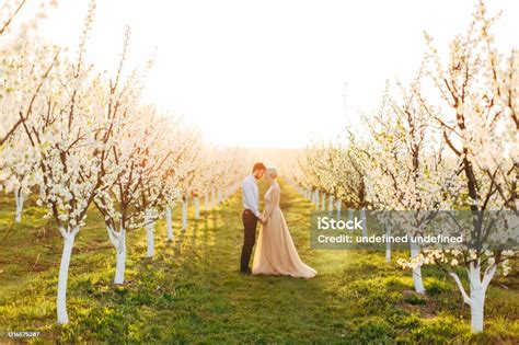 우아한 착용에 행복 한 사랑 스러운 커플 손을 잡고 함께 서 아름 다운 피는 정원에서 꽃 과일 나무 사이 봄 자연을 즐기는 사랑 결혼식 데이트 컨셉 2명에 대한 스톡 사진