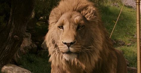 Daniel Craig Pode Interpretar Aslan No Reboot De As Crônicas De Nárnia