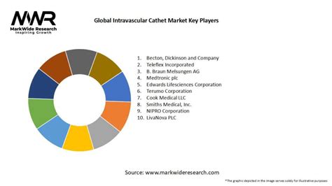 Global Intravascular Catheters Market 2024 2032 Sizeshare Growth